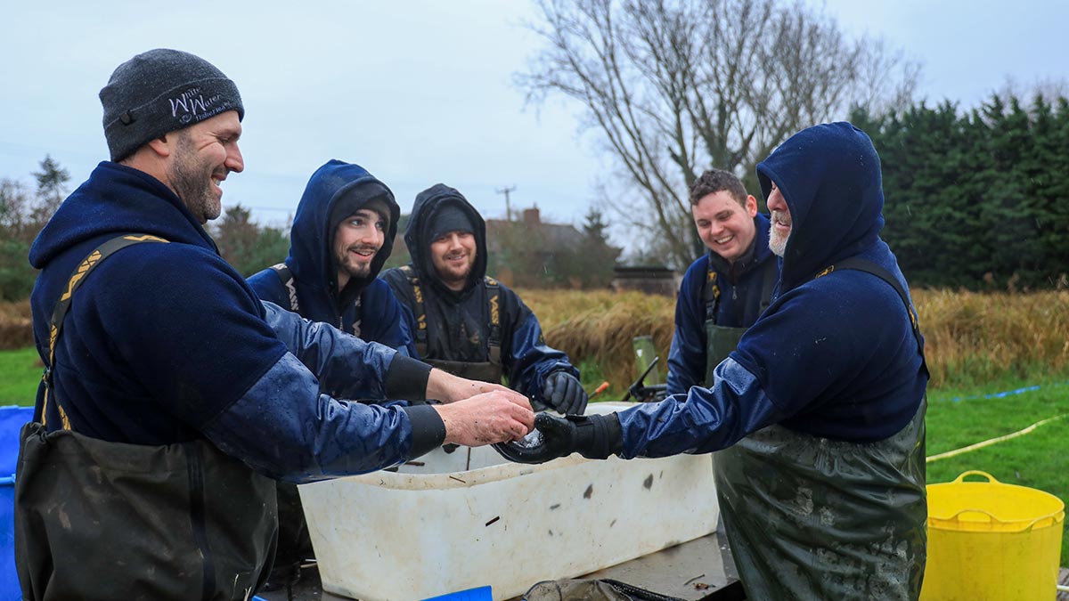 Carp For Sale, Specimen Carp up to 18lb - White Water Fisheries